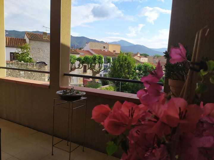 Superbe Appartement Grand Séjour Loggia Avec Vue. - Argelès-sur-Mer