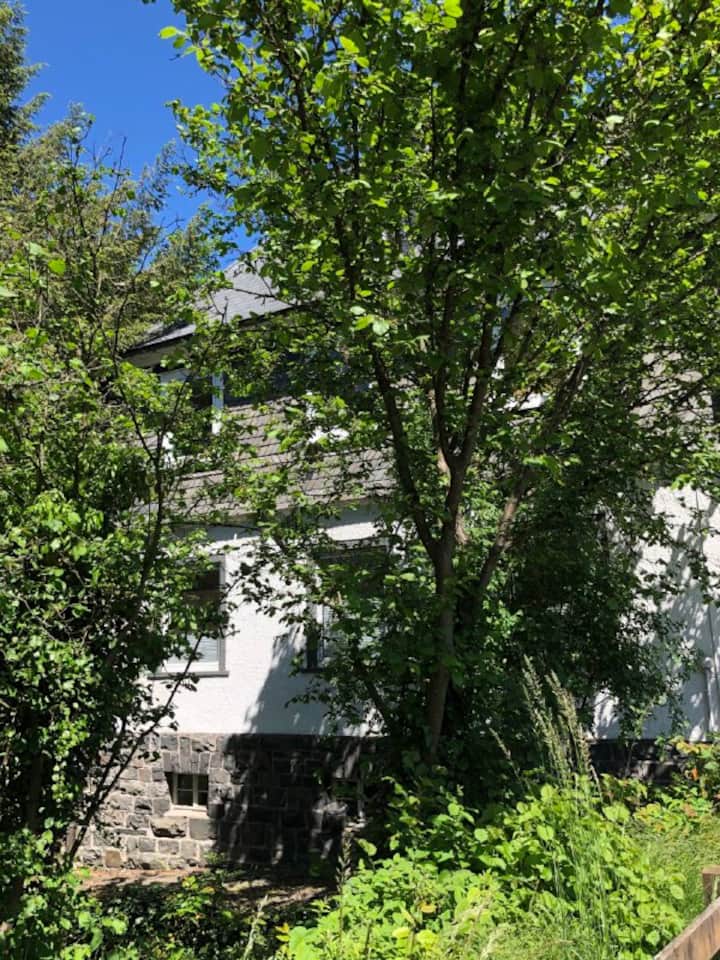 Ferienwohnung Am Sähling Mitten Im Grünen - Bad Berleburg