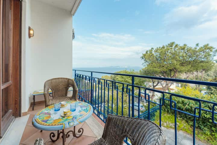 Casa Di Nellina - Appartamento Con Vista Sul Mare - Ischia