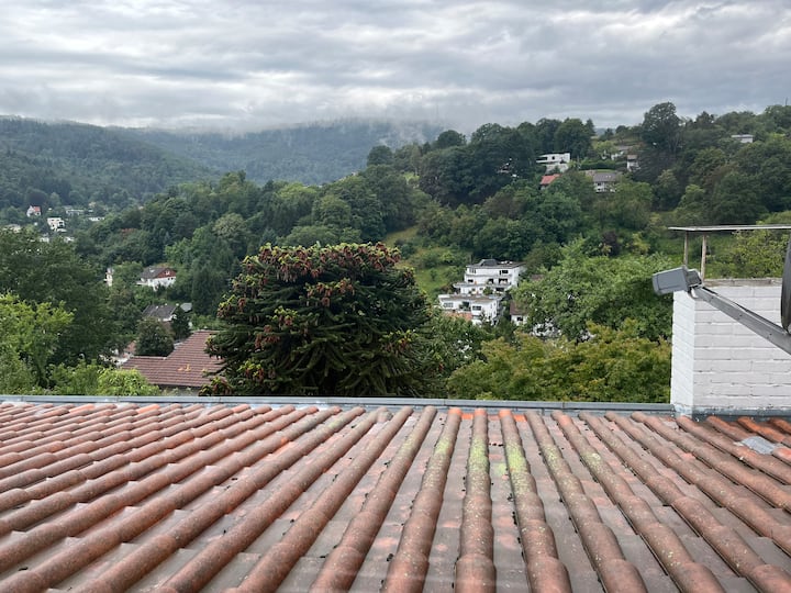 Schöne Dachgeschoss Ferienwohnung, Mit Ausblick - 하이델베르크