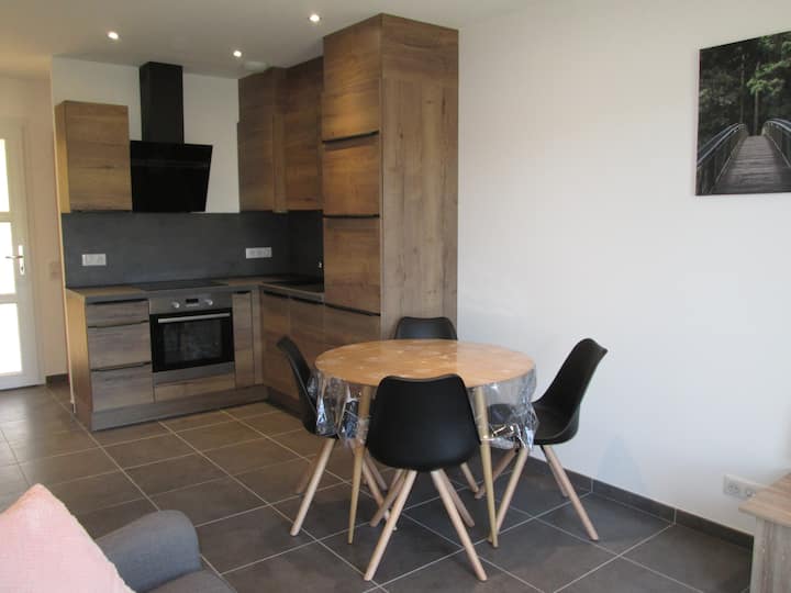 Superbe Appartement Face Aux Pistes De Ski - Gérardmer