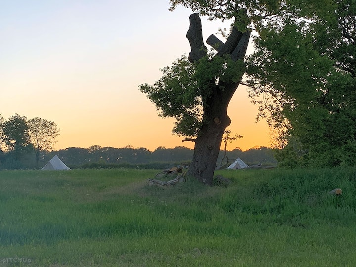 Delightful Glamping Country Escape In Norfolk - Diss