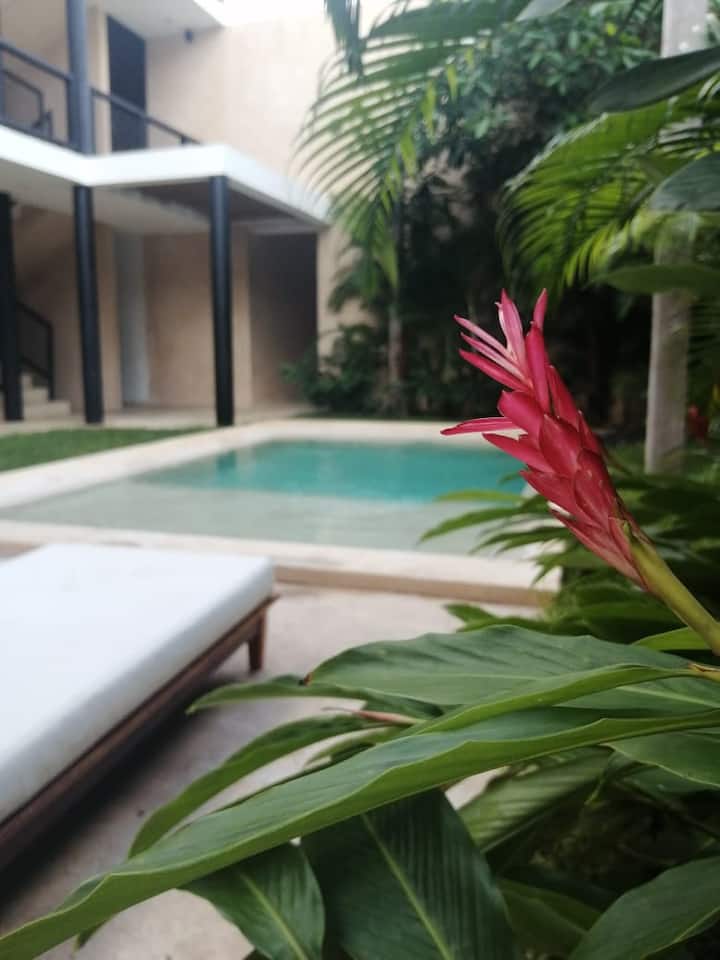 Casona 61 Habitación Con Alberca - Mérida, México