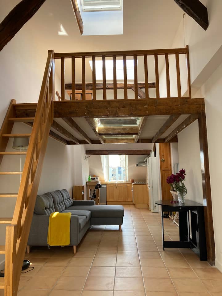 Vincennes: Superbe Loft 60m2 Lumineux Plein Centre - 萬塞訥