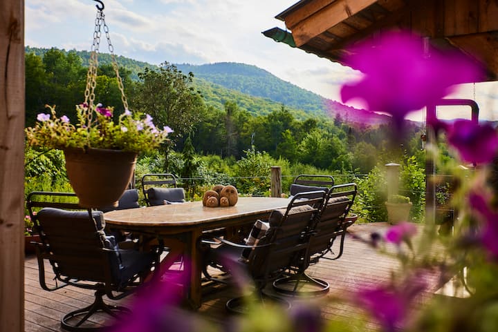 Adk Mountaintop Chalet, 15 Acres, Birch Tree Camp - Indian Lake, NY