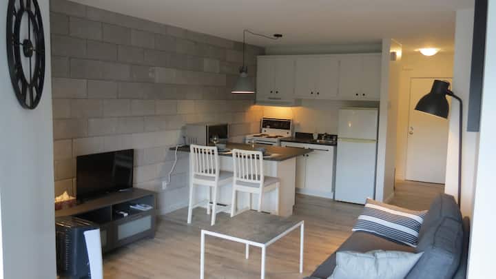 Studio-apartment, Mile-end /.3.plateau - Montreal