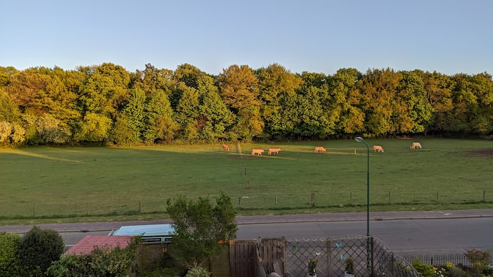Licht En Ruim Huis (125m2) Aan De Rand Van Het Bos - Soest