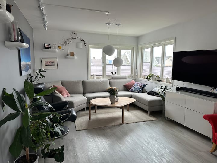 Stor Enebolig Med Hage Sentralt I Stavanger - Stavanger
