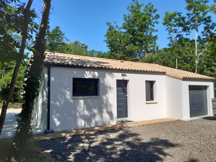 A L'orée Des Pins - Maison Récente, Climatisée - Plage des Conches