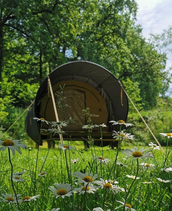 La D'tente - Deux-Sèvres