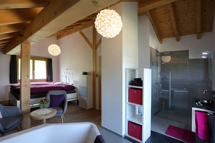 Schönes Privatzimmer In Ruhig Gelegenem Wohnhaus - Canton Grigioni