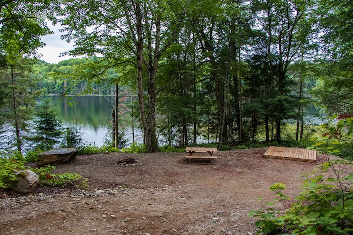 Lee North 11 - Ontario 60