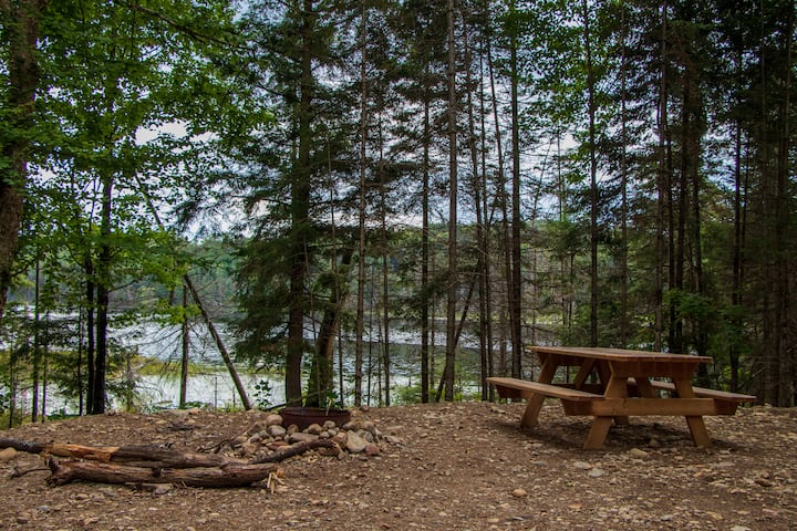 Lee North 16 - Parc provincial Algonquin