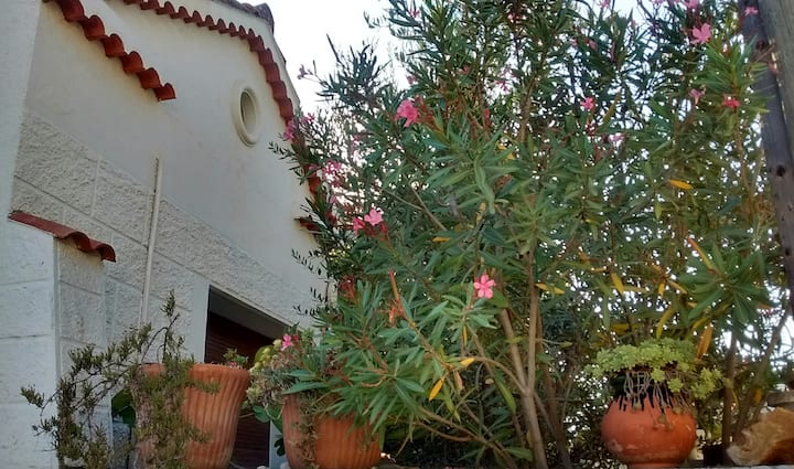 Villa Mimosa Six-fours-les-plages - Six-Fours-les-Plages