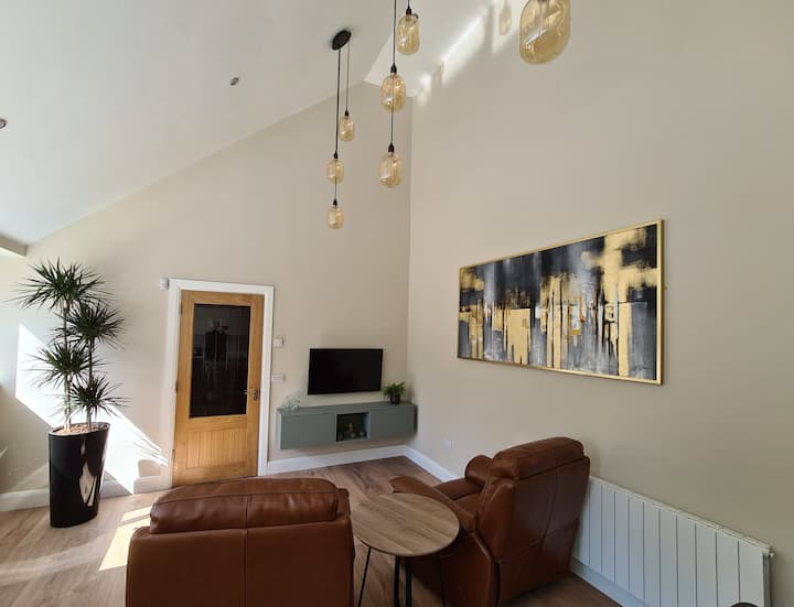 Fantastic Luxury One Bedroom Apt, Sleeps 4 People,  All 5 Stars Reviews - Cork (Ireland)