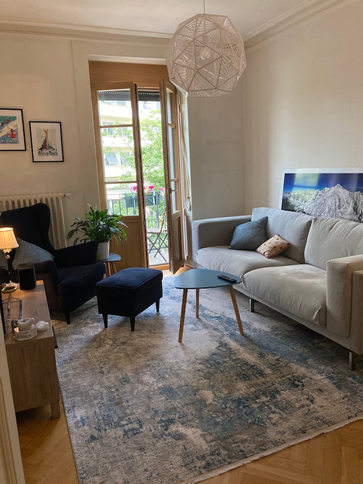 Bel Appartement 1 Chambre Au Centre De Genève - Genève
