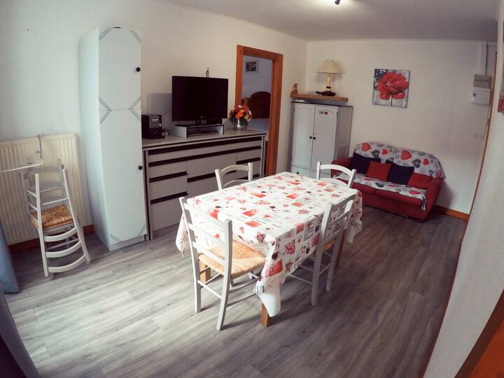Mont-dore : Superbe Appartement En Résidence - Le Mont-Dore