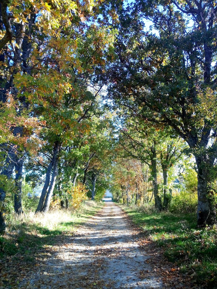 Bergerie Joy: Soleil  Vue  Entrée Indépendante :) - Sault