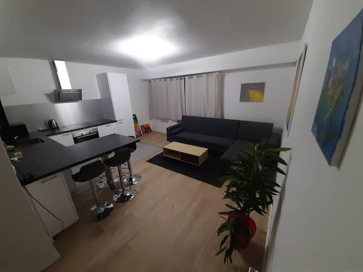 2p - 38m² - standing - parking - centre ville a pied - Pau, Francia