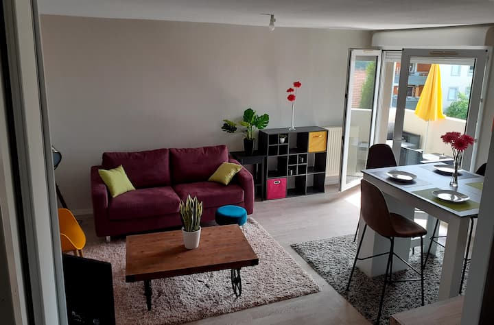 F2 Spacieux Lumineux Calme Et Cosy - Évian-les-Bains