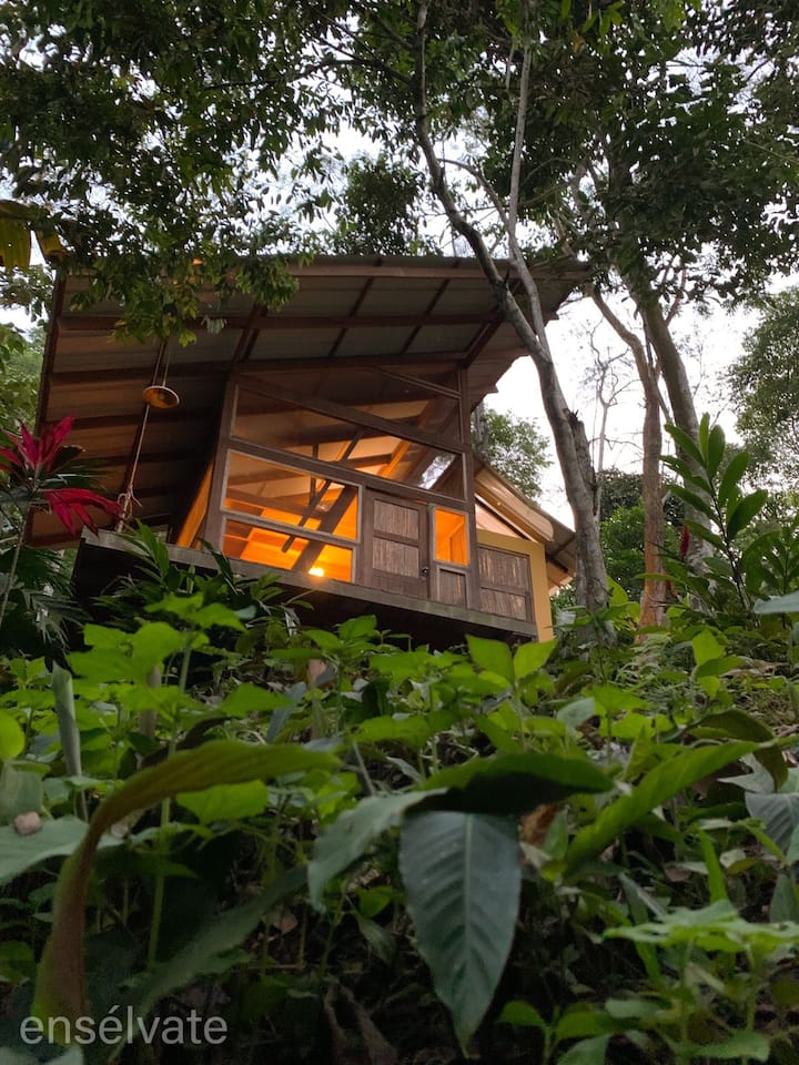 Casa Moena En San Roque De Cumbaza-lamas - San Martín