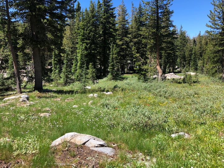 Lake Tahoe Forest Gem (Min. 30 Day Rental) - South Lake Tahoe, CA