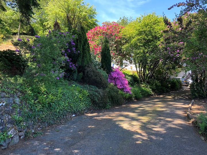 Lovely Double Room, Private Entrance, En-suite - Bodmin