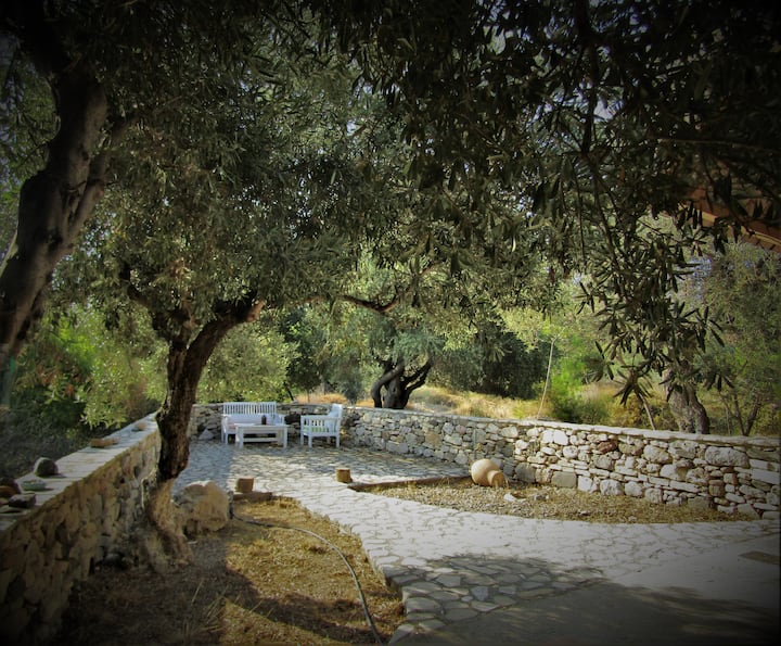 Asklipion Valley Guest House - Bird House - Kos