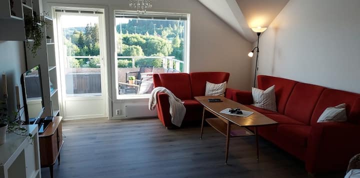 Bright Apartment With Great View! - Trondheim