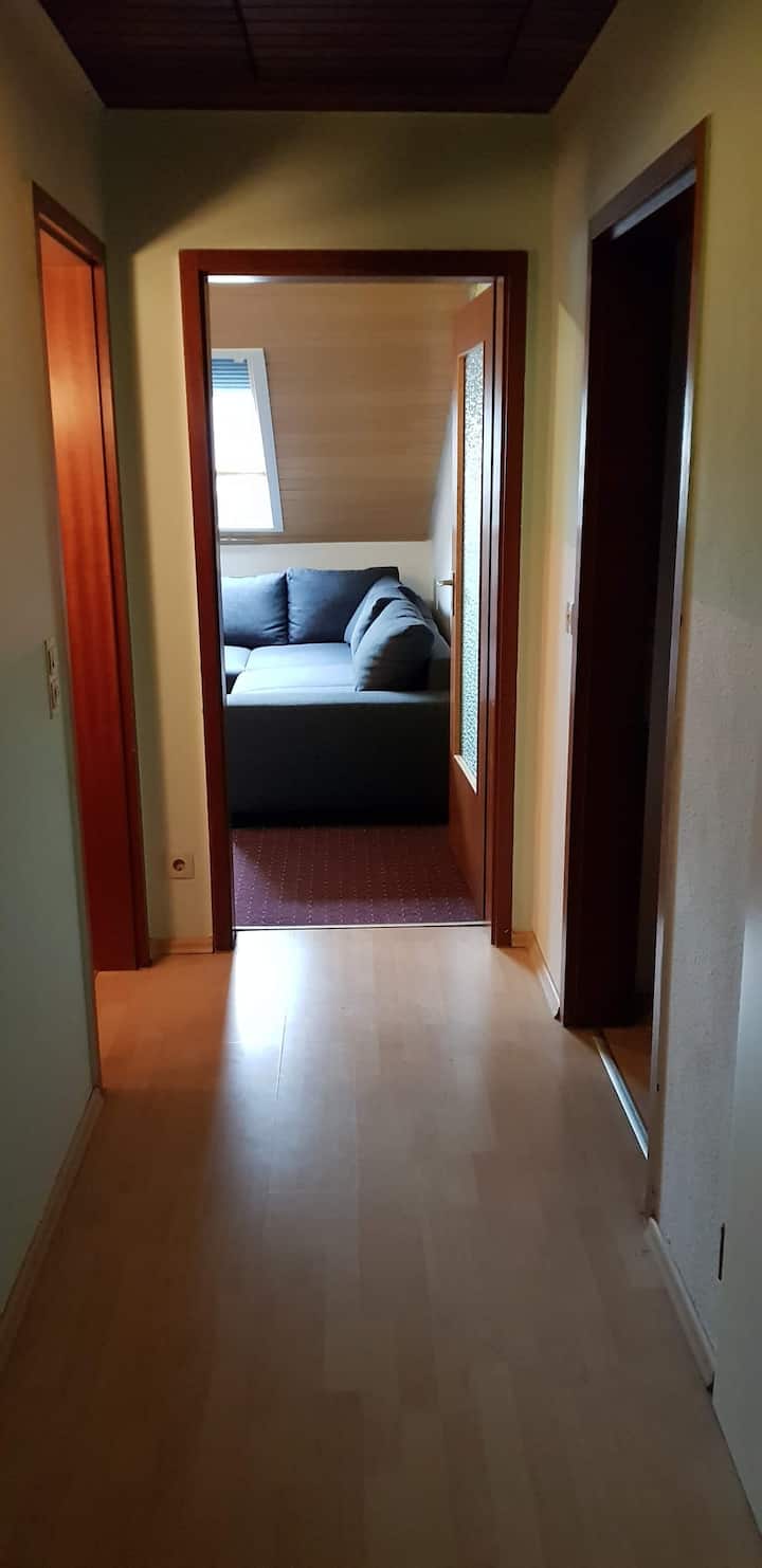 40 Qm A/c Klima 2 Zimmer Dachgeschoss Wohnung - Ludwigshafen am Rhein