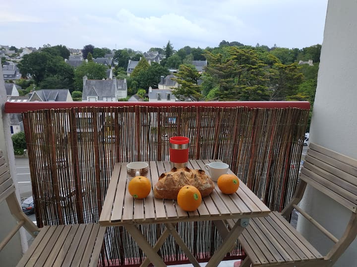 Appartement Entier Avec Balcons Panoramiques - Quimper