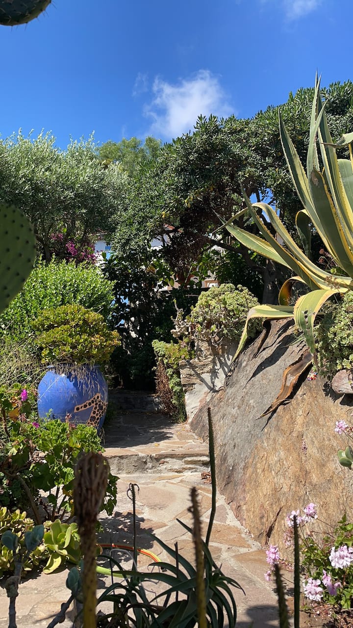 Chambre, Villa Naturiste îLe Du Levant - Île du Levant