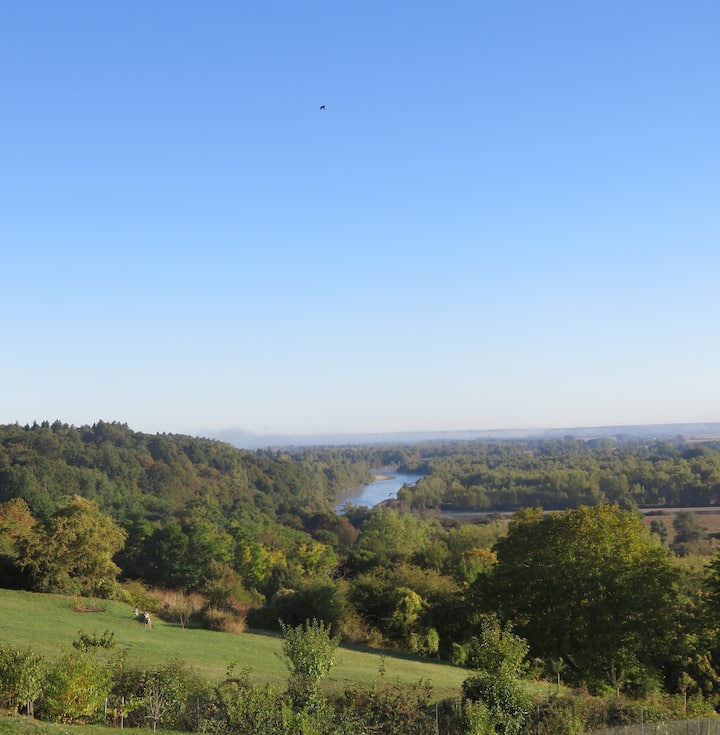 Vue Imprenable Sur La Réserve Naturelle - Varennes-sur-Allier
