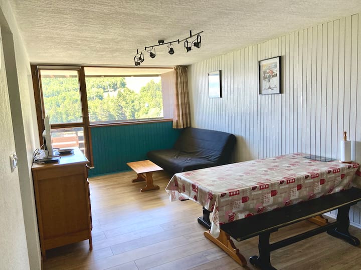 Appartement, Deux Chambres Aux Pieds Des Pistes - Picherande