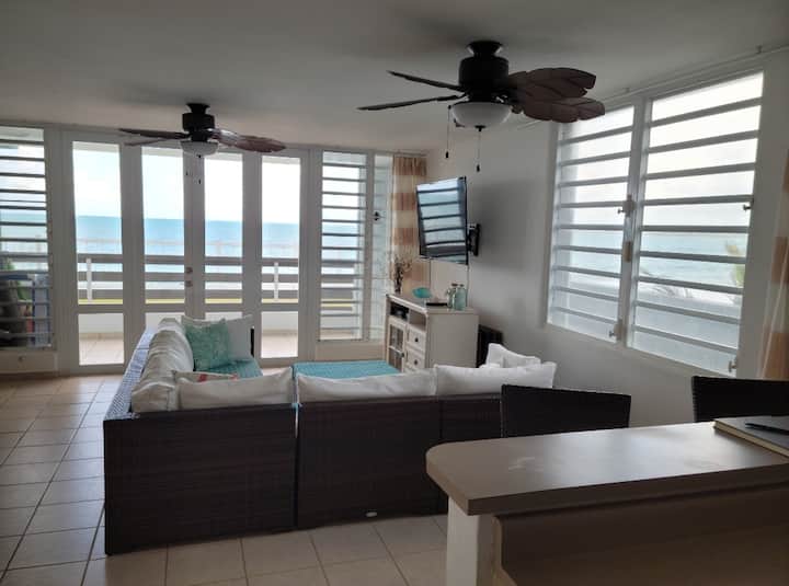 Ocean Front Relax Garden Apartment - Luquillo