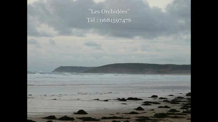 Studio Chez Manue, 2 Etoiles , Séjour En Cotentin - Barneville-Carteret