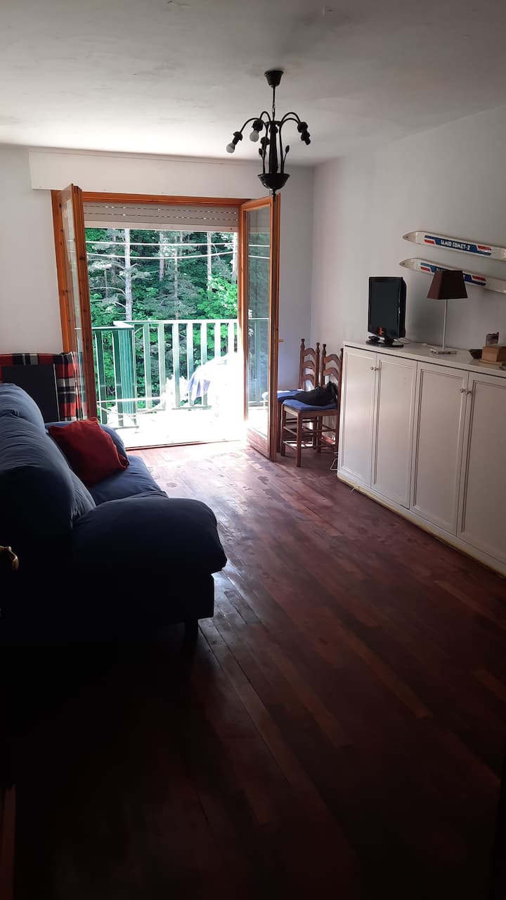Apartamento En Canfranc-estación - Candanchú