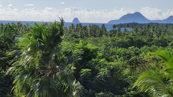 Sainte Anne (Mq) : Calme Et Magnifique Vue Mer - Martinique