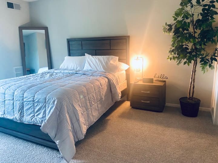 Relaxing 1 Bedroom Executive Suite  In Central Atl - Roswell, GA