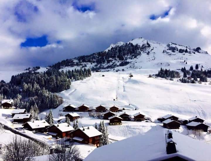 Loue Appartement Avec Superbe Vue Au Chinaillon 74 - Le Grand-Bornand