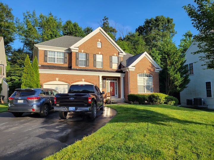 Full Basement With One Bedroom, Private Bathroom - Manassas, VA