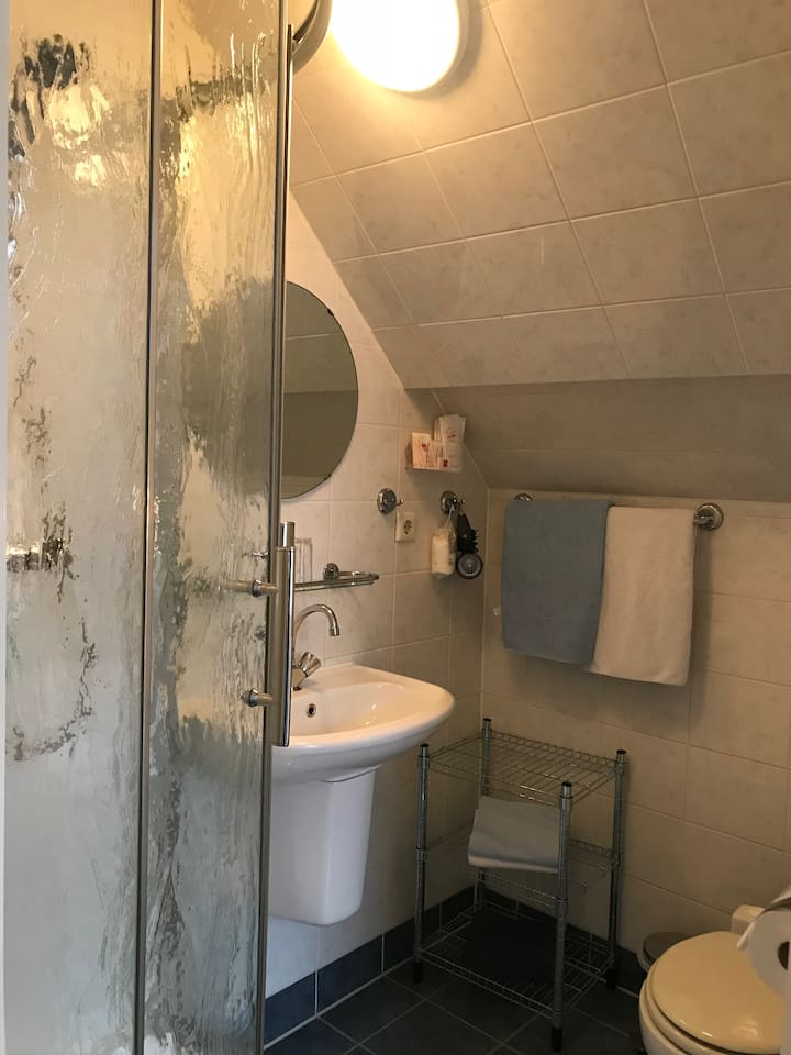 Studio Nr3 In A Beach Villa, 5 Min From The Beach. - Zandvoort