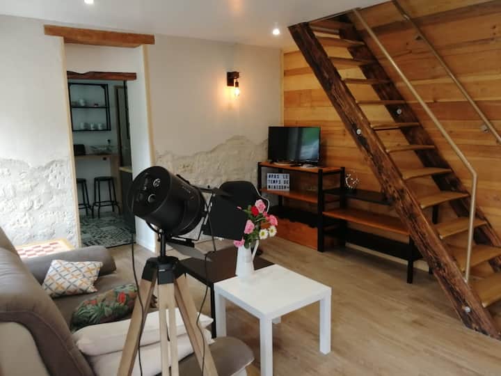 Maison Au Coeur Du Marais De Grigny à Chinon - Avoine