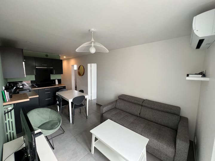 Toulouse, St Cyprien, Superbe Appartement - Toulouse