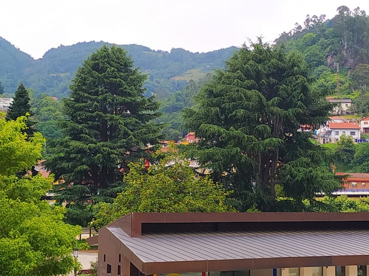 Precioso Apartamento En El Paraíso Natural - Langreo