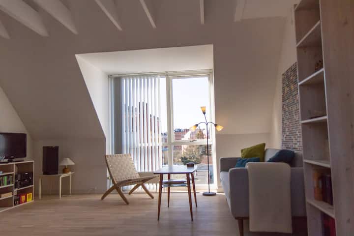 Bright Apartment With Balcony, Elevator, Location! - Copenhagen