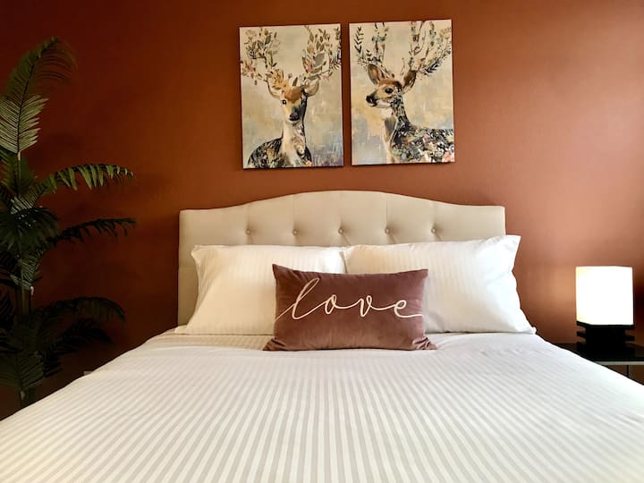Perfect For Long Stays | Fast Wifi - Wesley Chapel, FL
