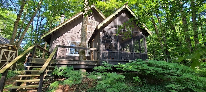 Torch Lake Cabin Vacation Rentals - Michigan, United States | Airbnb