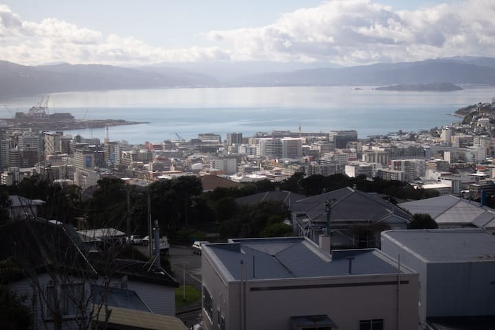 Up With The Birds In Brooklyn, Wellington - Wellington, Nueva Zelanda