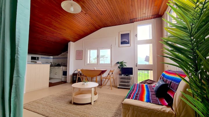 Seignosse Les Bourdaines-beau Studio 5min Plage - Seignosse